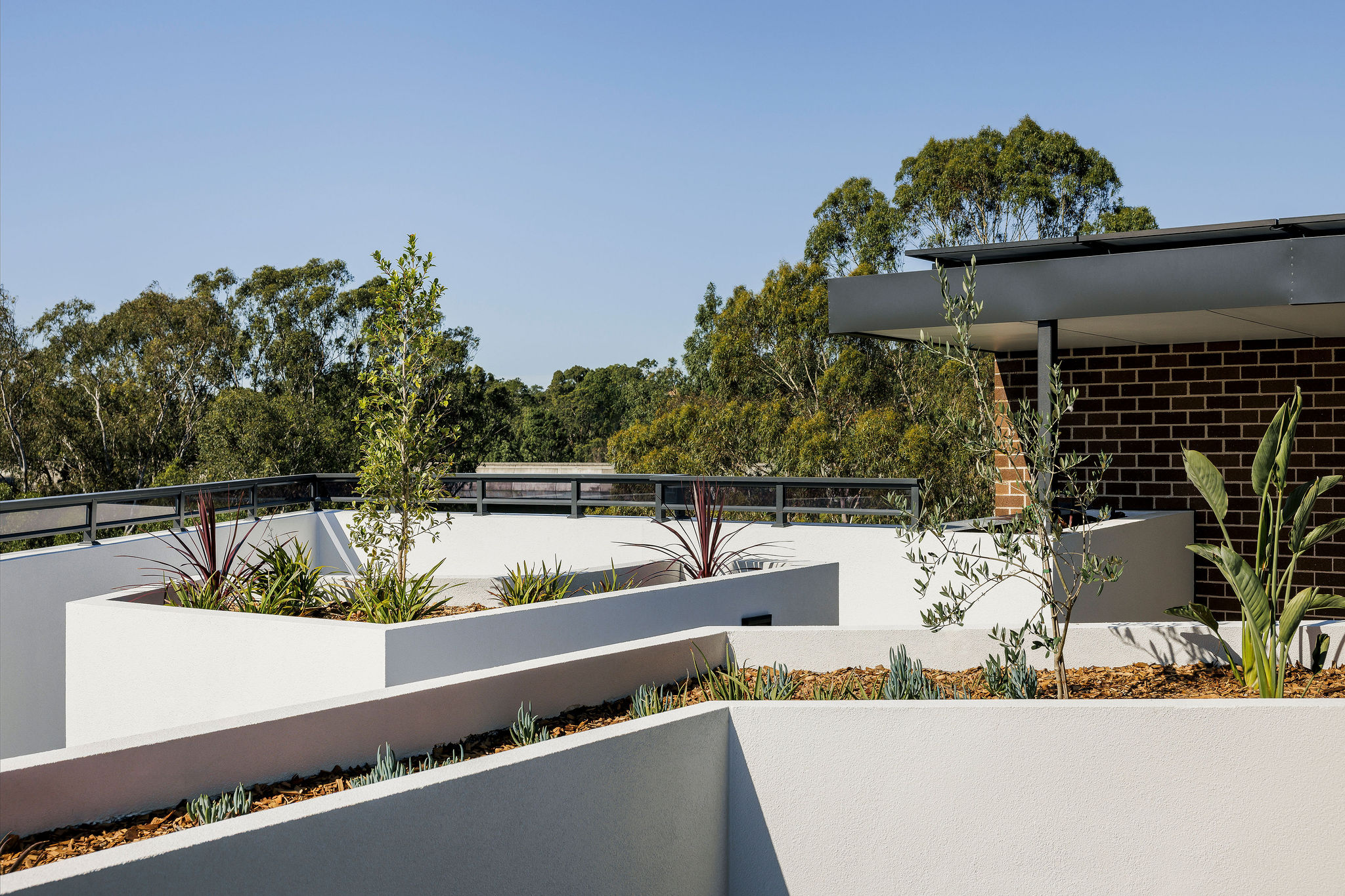 Rouse Hill Affordable Housing – Stanton Dahl Architects